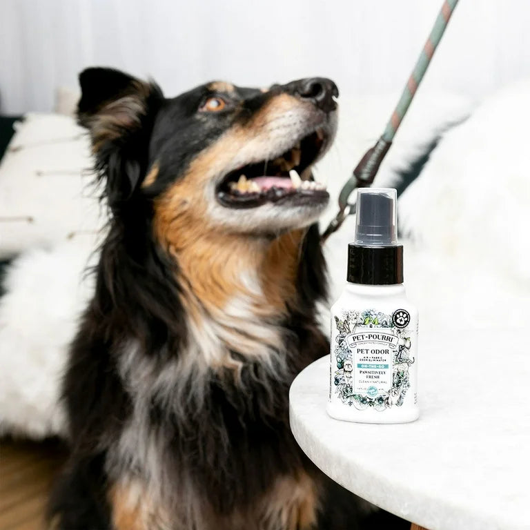 Pawsitively Fresh – CORIUM